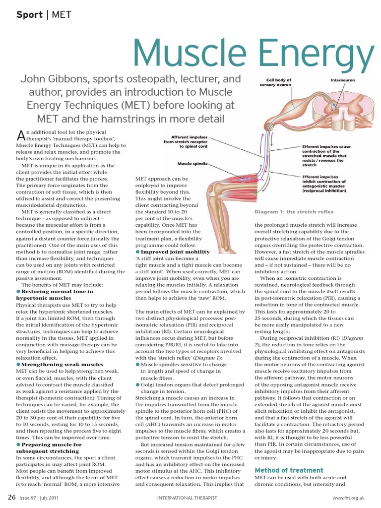 Afinal o Que São As Muscle Energy Tecniques? | PDF | Muscle | Muscle ...