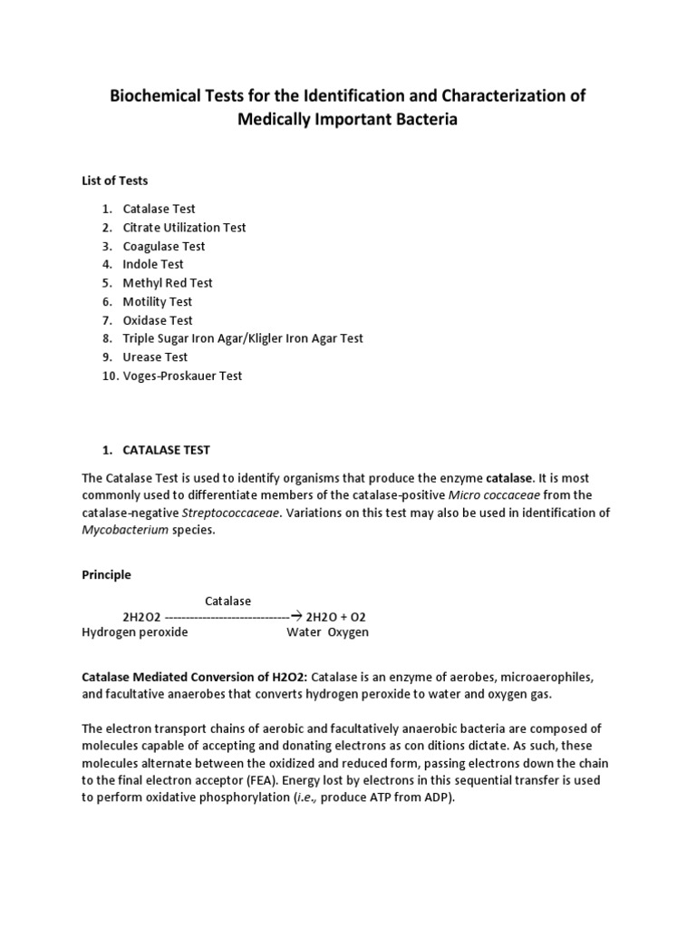 Catalase Test | PDF | Catalase | Peroxide