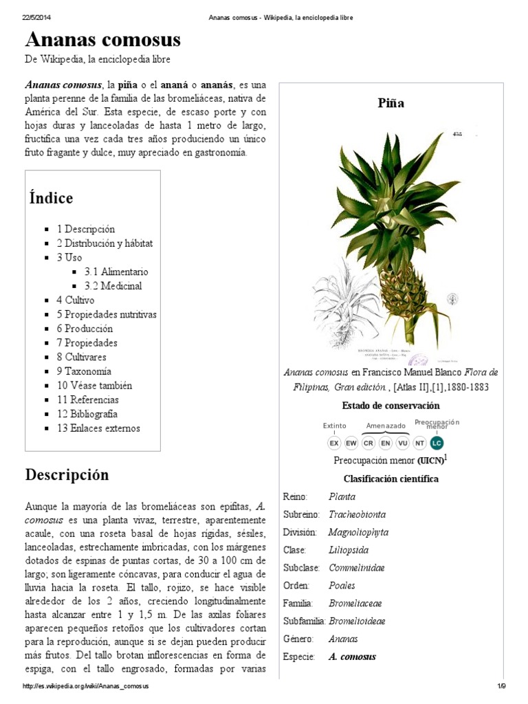 Ananas Comosus - Wikipedia, La Enciclopedia Libre | PDF | Plantas ...