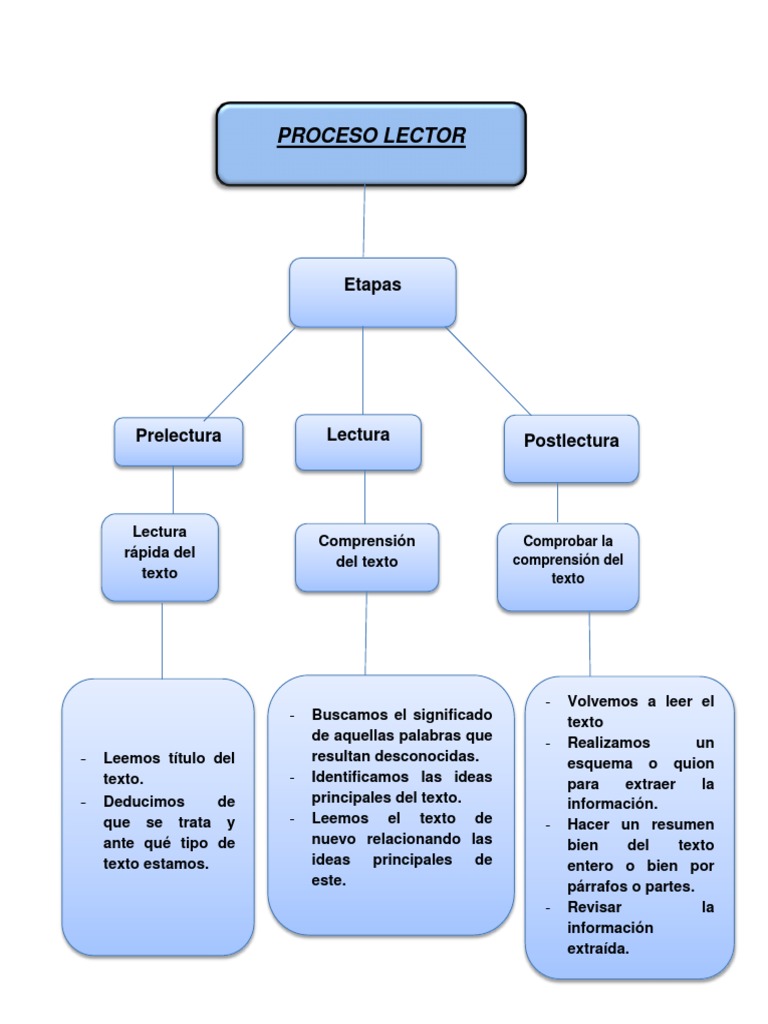 Proceso Lector | PDF
