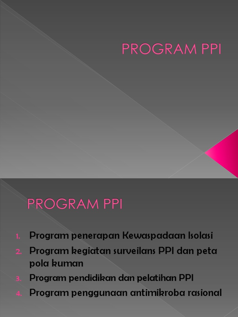 Program Ppi | PDF