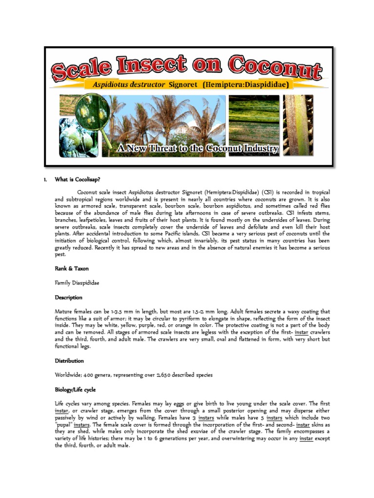 What Is Cocolisap | PDF | Biological Pest Control | Coconut