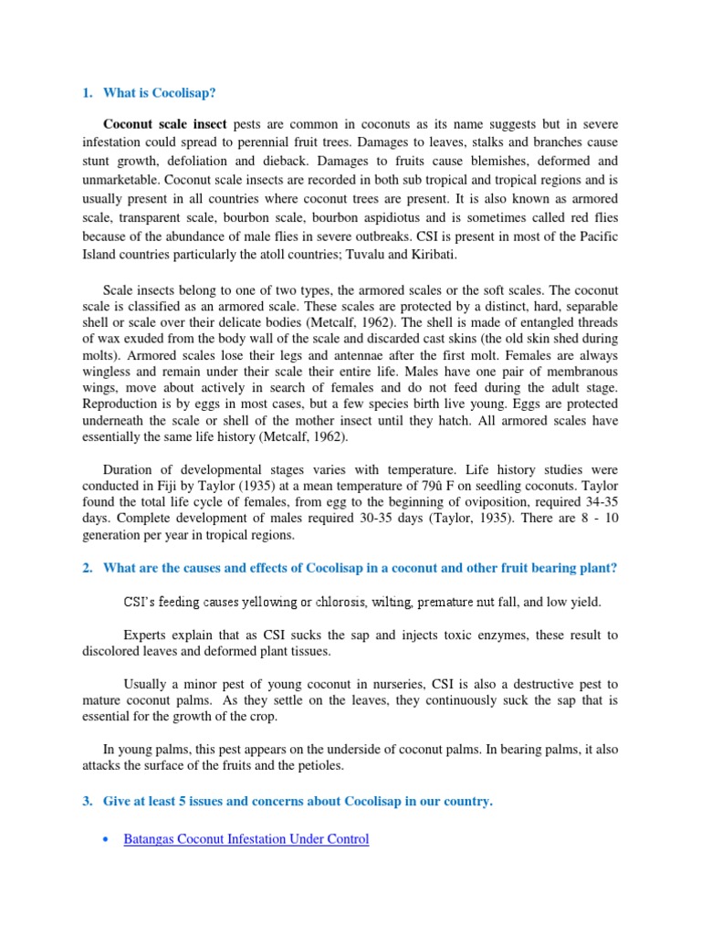 Cocolisap | Download Free PDF | Coconut | Fly