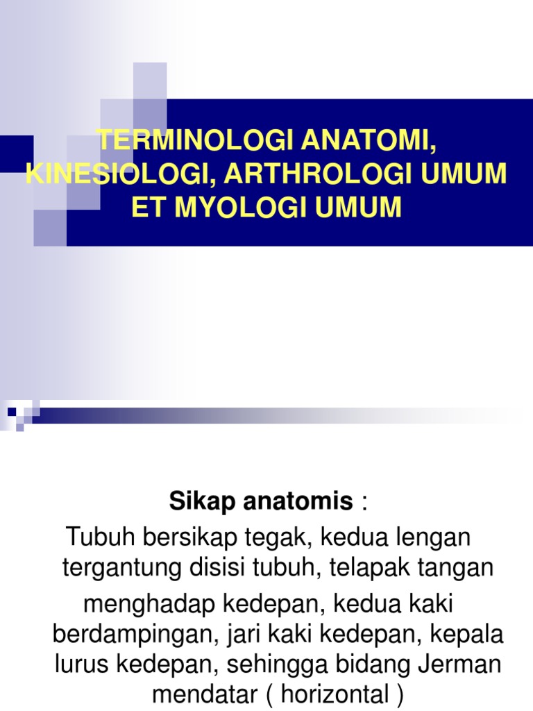 Anatomi Terminologi | PDF