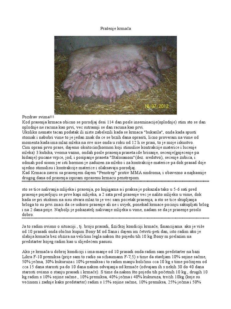 Prasenje Krmaca | PDF