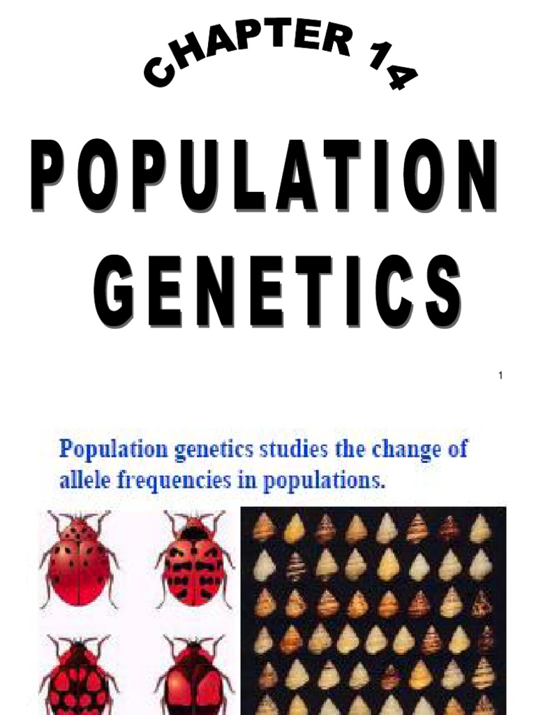 Understanding Population Genetics Basics | PDF | Allele | Zygosity
