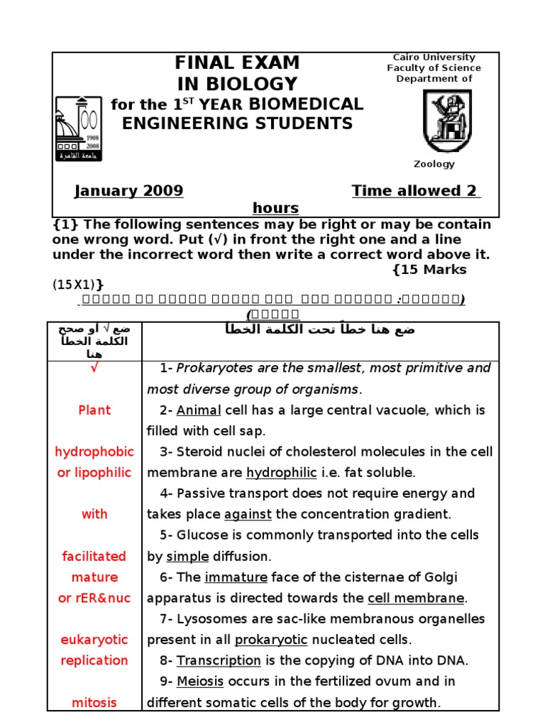 Model Answer of Final Biomed Exam 2009 | PDF | Mitosis | Cell (Biology)