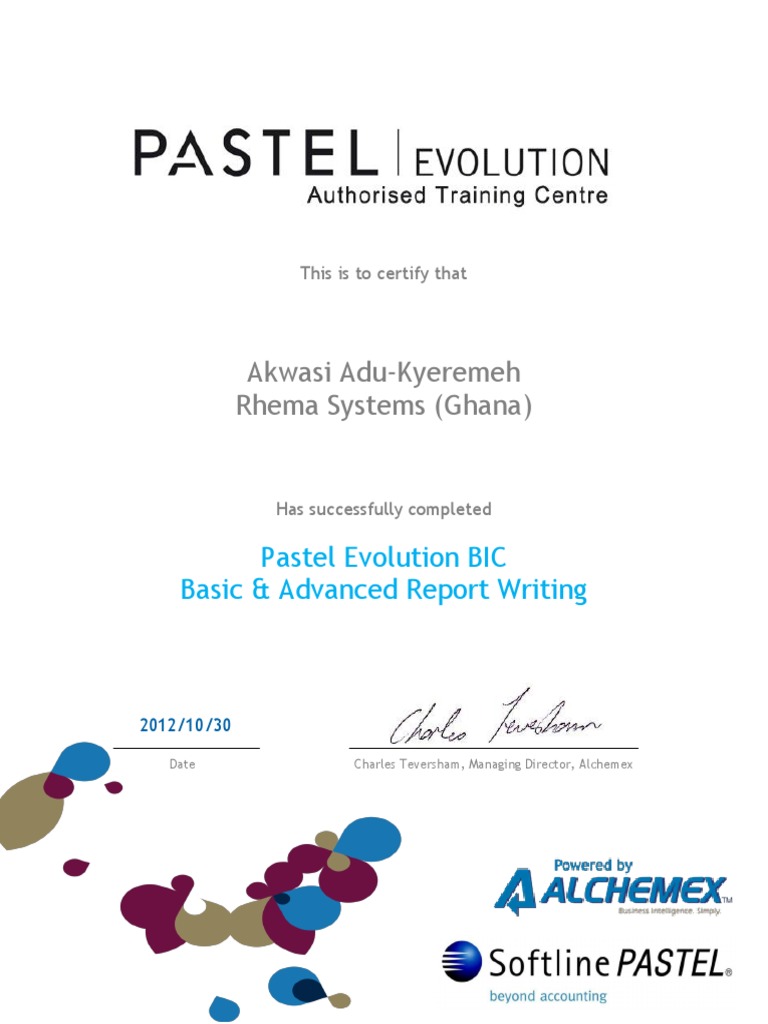 Pastel Evolution BIC Basic and Advanced Report Writing | PDF