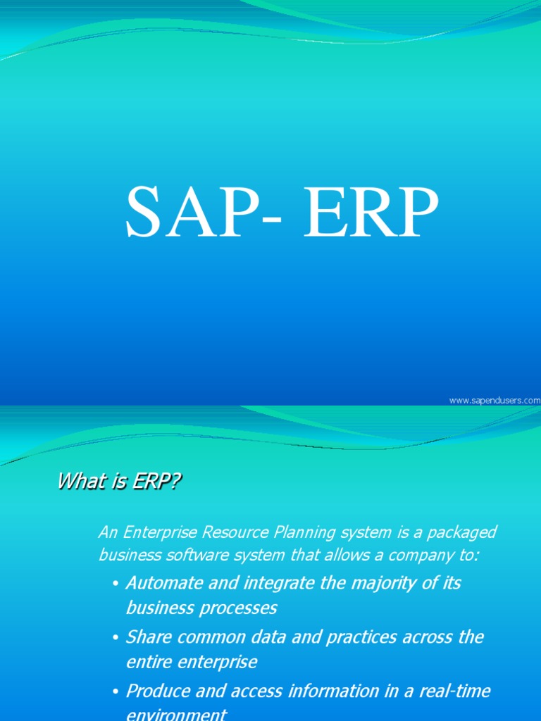 SAP Basics | PDF | Enterprise Resource Planning | Sap Se