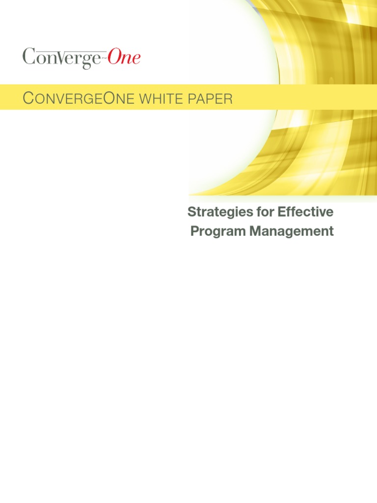 Strategies for Effective Program Management: An Overview of Program ...