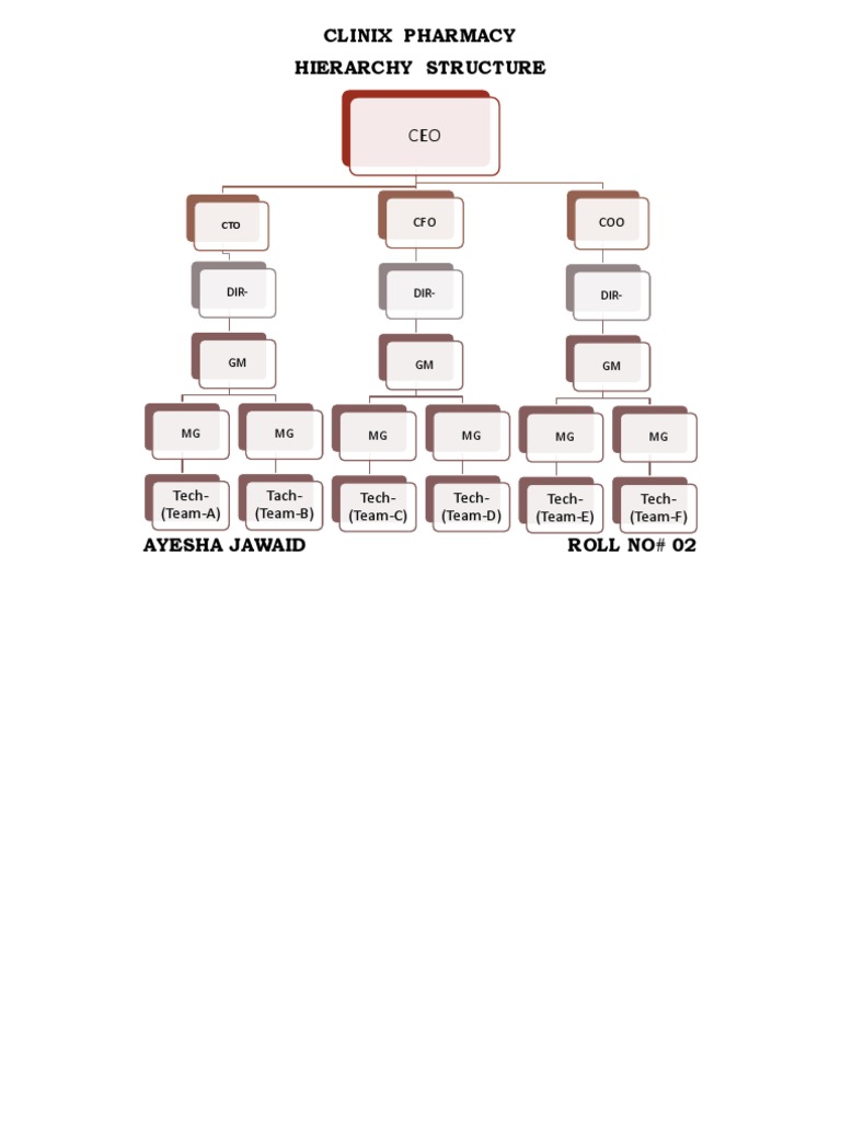 Clinix Pharmacy Hierarchy Structure | PDF