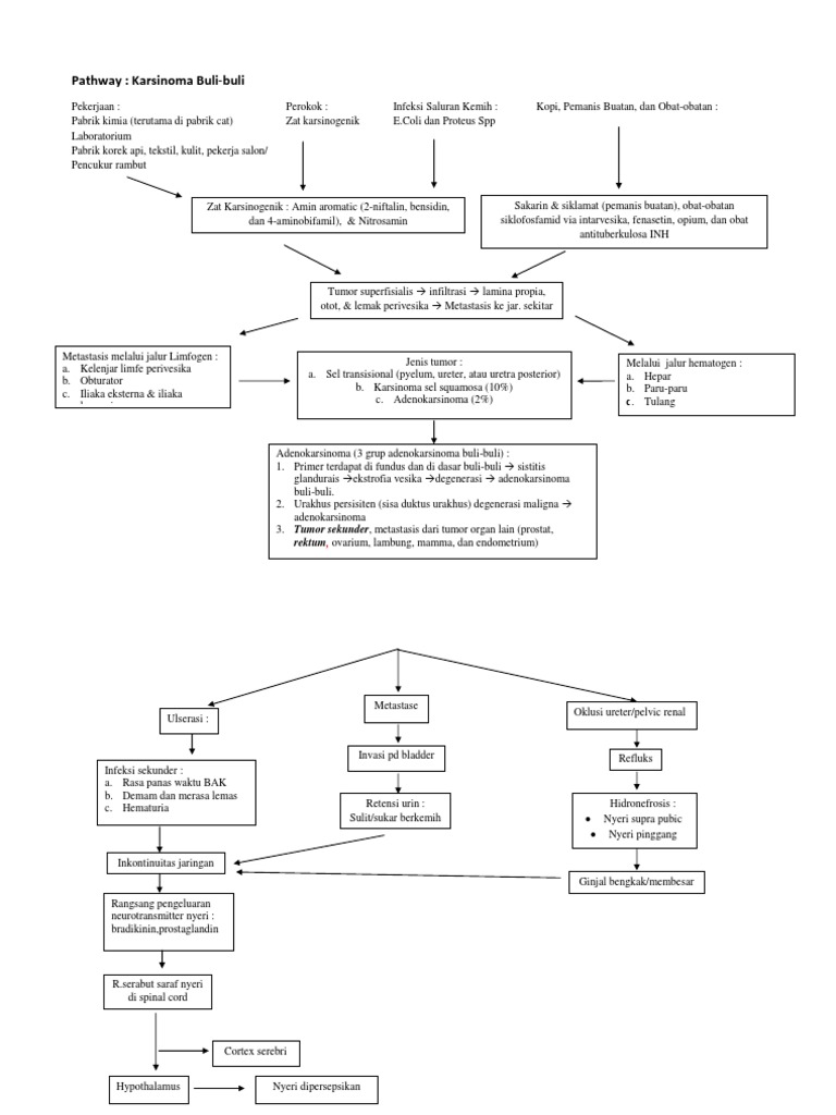 Pathway Adenokarsinoma Buli-Buli | PDF