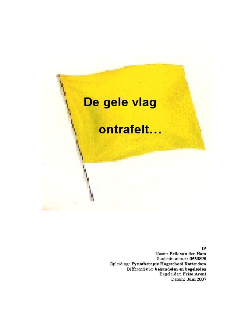 De Gele Vlag Ontrafelt | PDF