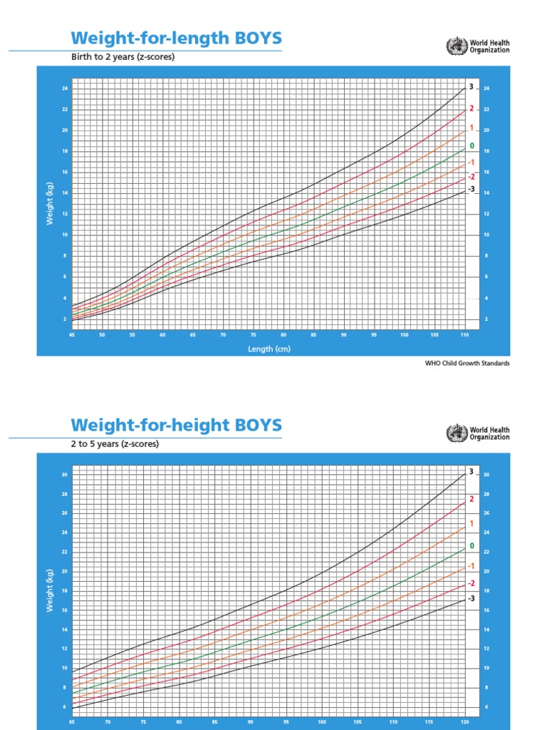 Z Score Anak Laki-laki | Human Size | Medical