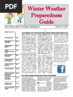 Winter Emergency Kit For Vehicles | PDF