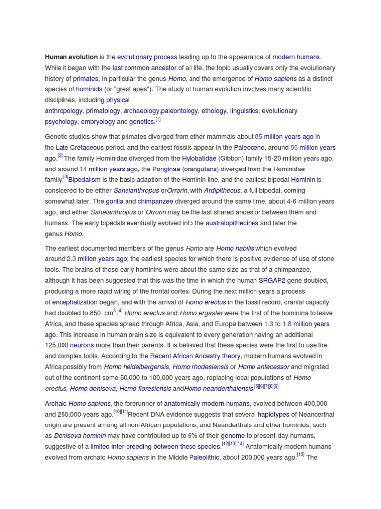 Homo Homo Sapiens: Human Evolution Is The | PDF | Hominidae | Homo