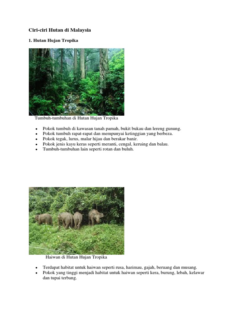Ciri Hutan Hujan | PDF
