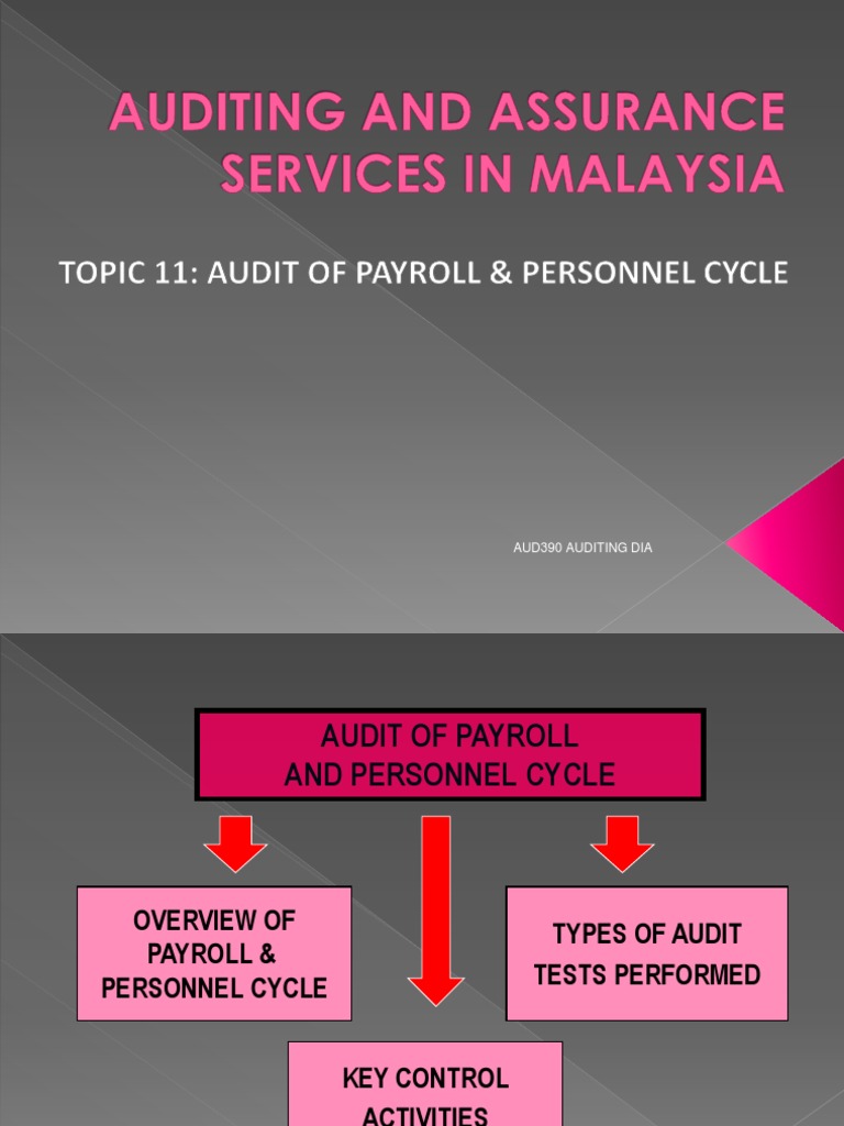 Payroll Audit Overview and Controls | PDF | Payroll | Payroll Tax