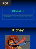 Nurses Chart Sample | PDF | Hemodialysis | Nephrology