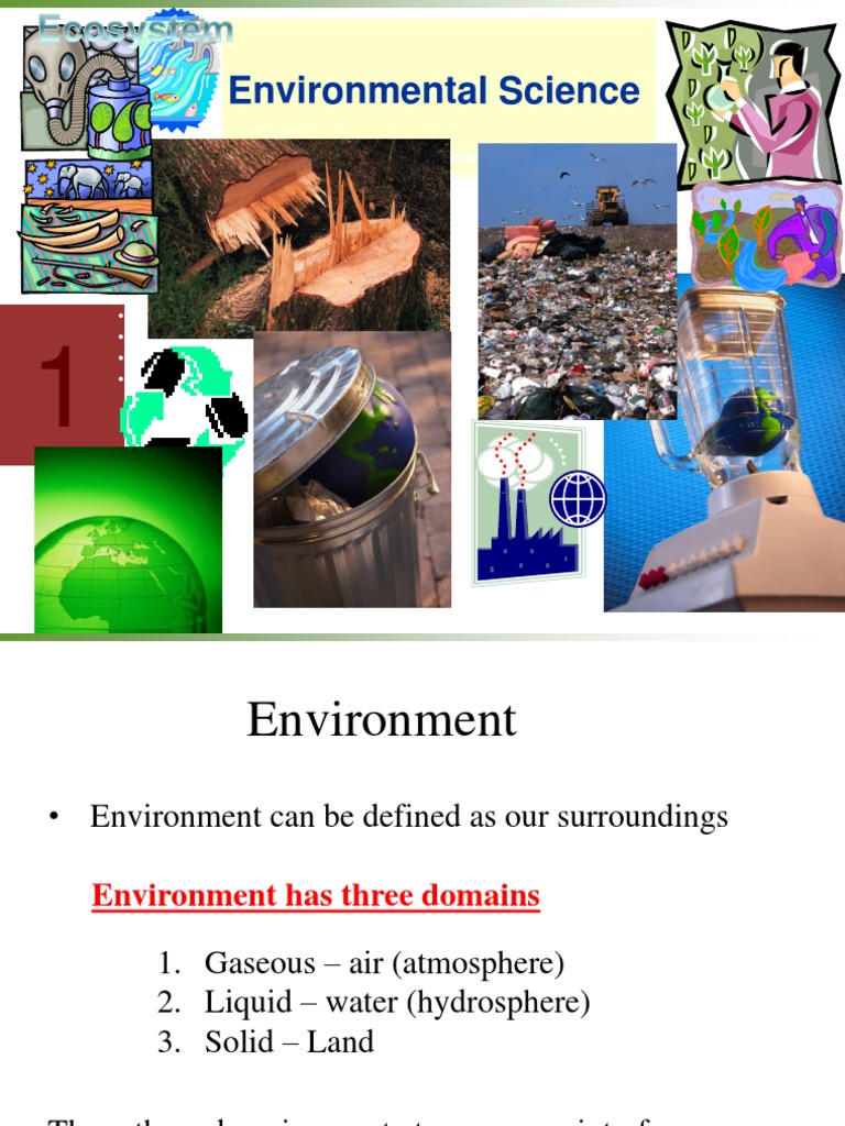 Environmental Science: Air Pollution Biodiversity Depletion | PDF ...