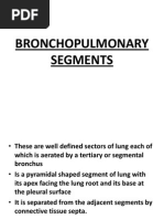 The Radiology Assistant - Lung Segments and Bronchi | PDF | Lung ...