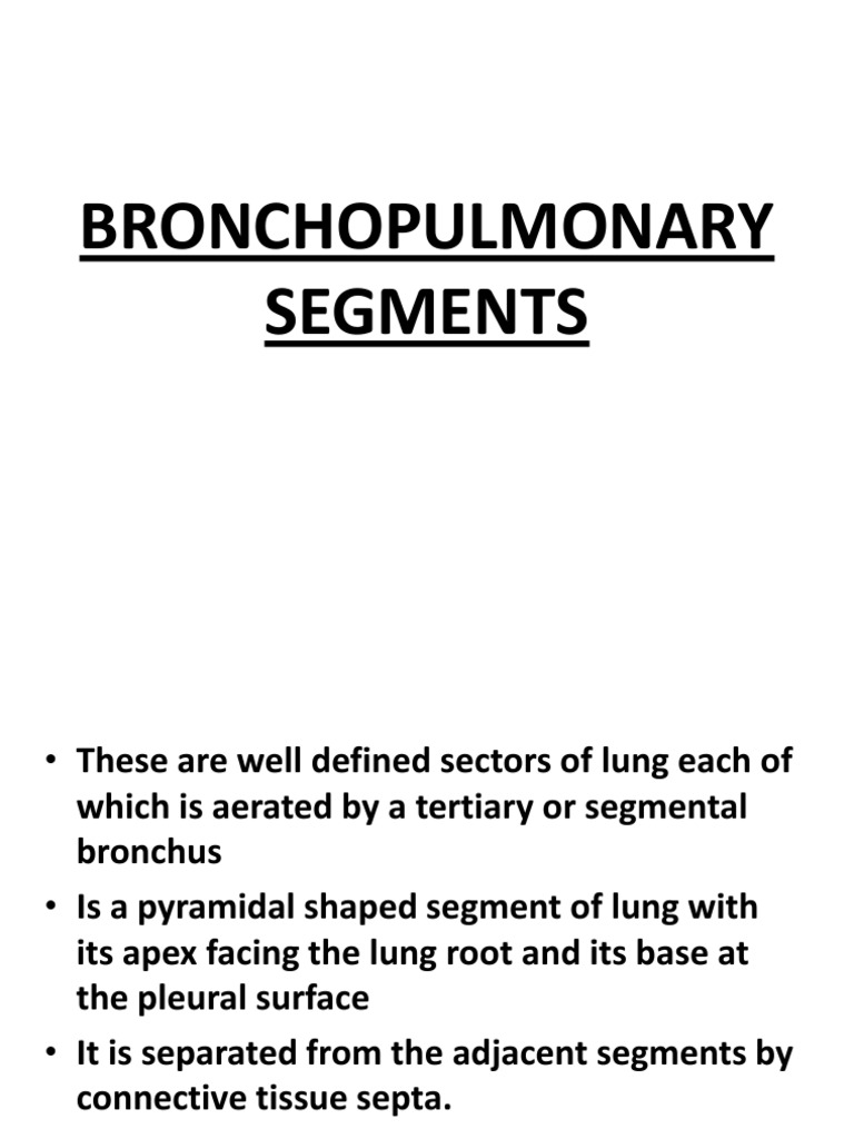 Bronchopulmonary Segments