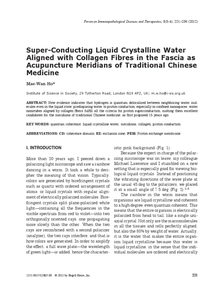 Superconducting Liquid Crystalline Meridians-Libre | PDF ...