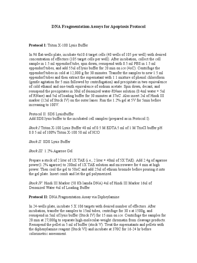 DNA Fragmentation Assays for Apoptosis | PDF | Analytical Chemistry ...