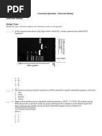 Genetic Final Exam | PDF | Dominance (Genetics) | Genetics