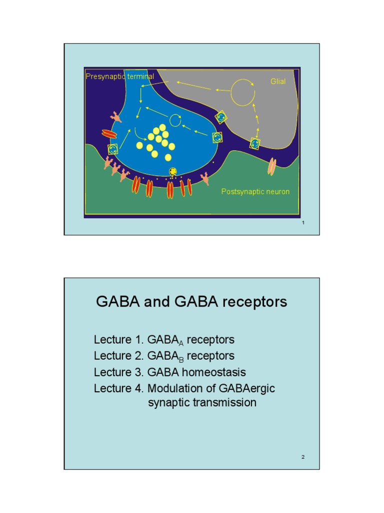Understanding GABA Signaling: A Comprehensive Review of GABA Receptor ...