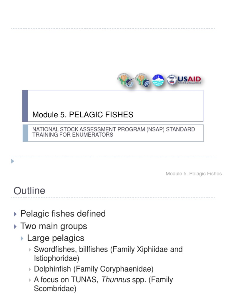 Module 05 Common Pelagic Fish Species-Gina-Jean | PDF | Tuna | Aquatic ...
