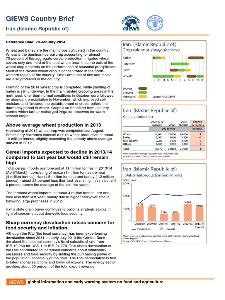 GIEWS Country Brief: Iran (Islamic Republic Of) | PDF | Wheat | Cereals