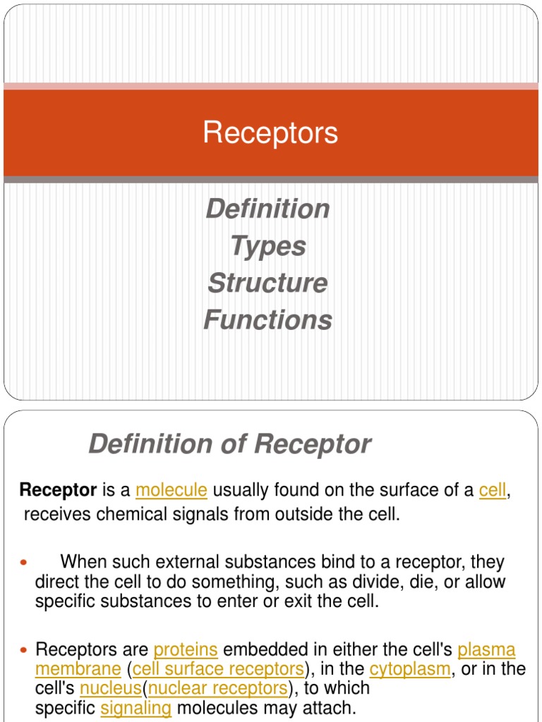 Receptors: Types Structure Functions | Download Free PDF | G Protein ...