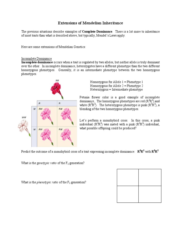 Lab 02 Extra - Extentions To Mendelian Genetics | PDF | Dominance ...