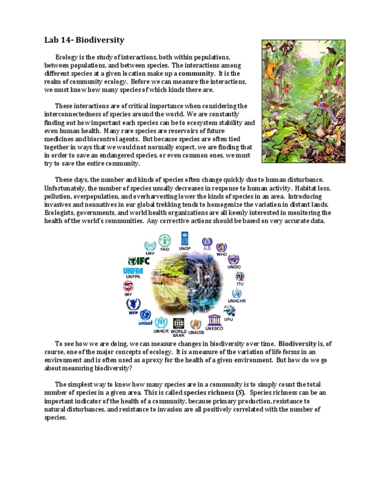 Lab 14 Ecology - Biodiversity - Indoor | PDF | Biodiversity ...