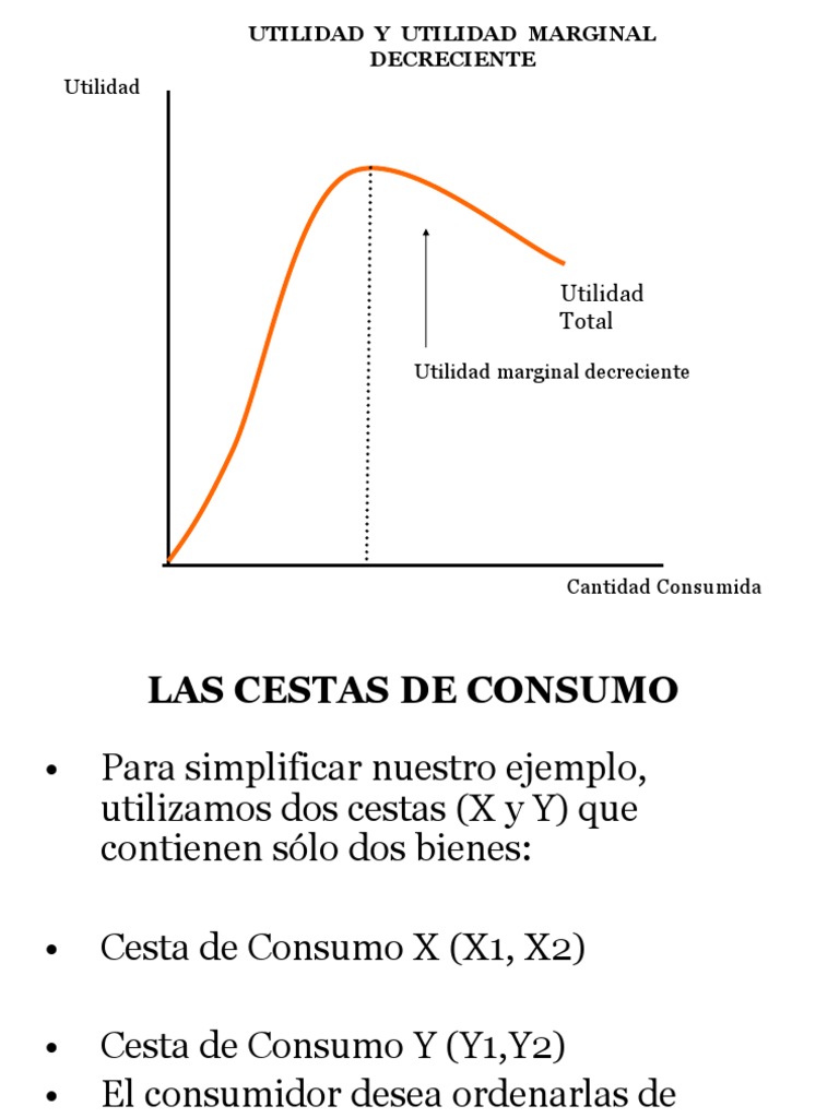 Teoría Del Consumidor Racional | PDF | Teorías económicas | Microeconomía