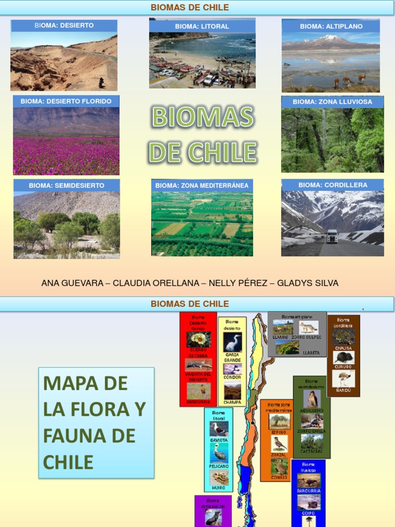 Biomas de Chile | PDF | Desierto | Andes