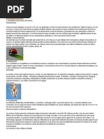 Qué Es Un Jején | PDF | Organismos | Naturaleza