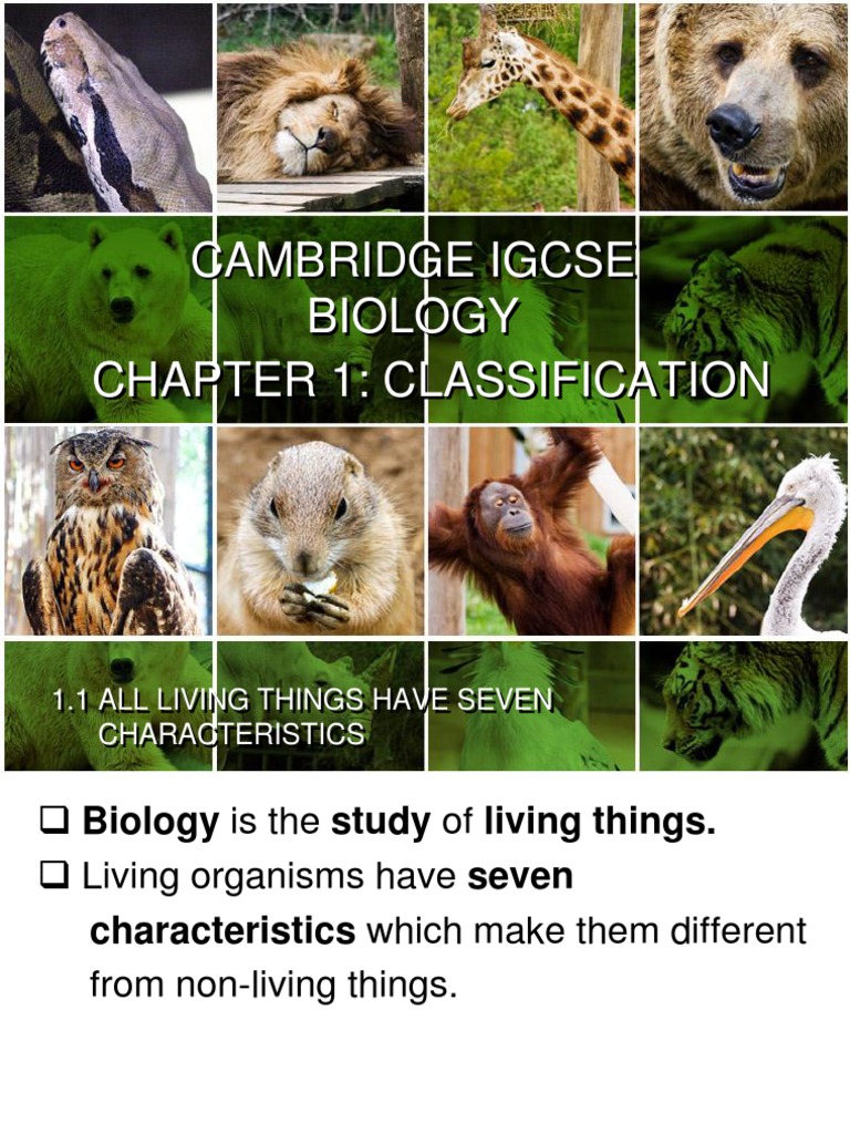 IGCSE Biology Chapter 1 | PDF | Canis | Biology