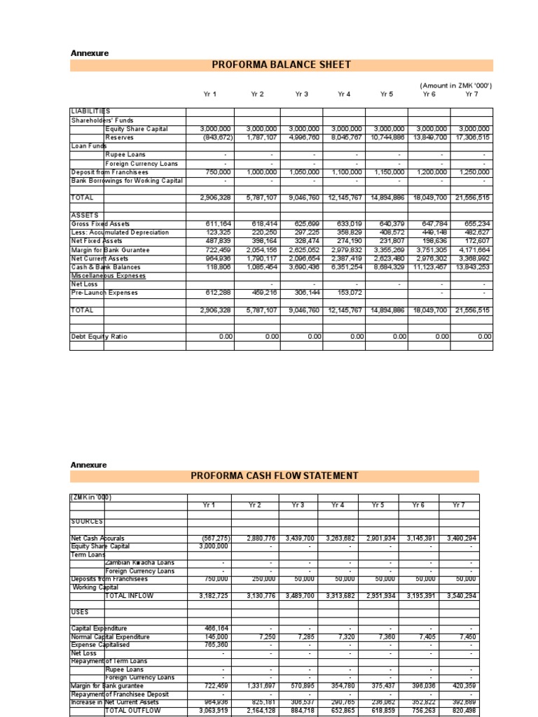 Proforma Financial Statements Overview | PDF | Balance Sheet | Depreciation