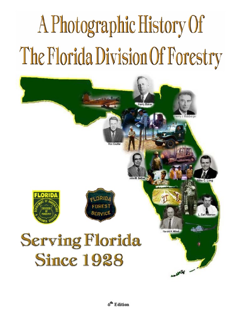 A Photographic History of the Florida Division of Forestry | Forestry ...