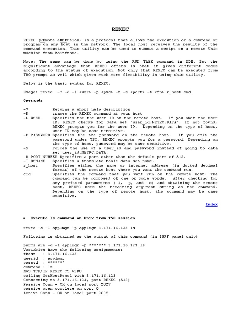 REXEC | Download Free PDF | Port (Computer Networking) | Scripting Language