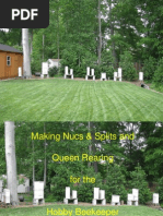 Basic Stag Conditioning: Conditioning Guide and Basic Tips During ...