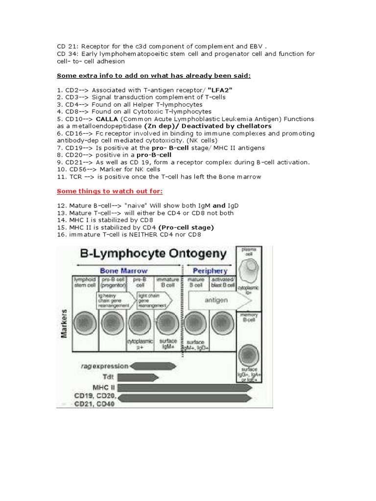 Overview of CD Markers in Immunology | PDF