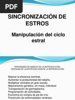 Protocolo de Sincronizacion. Ovsynch | PDF | Vacas | Reproducción humana