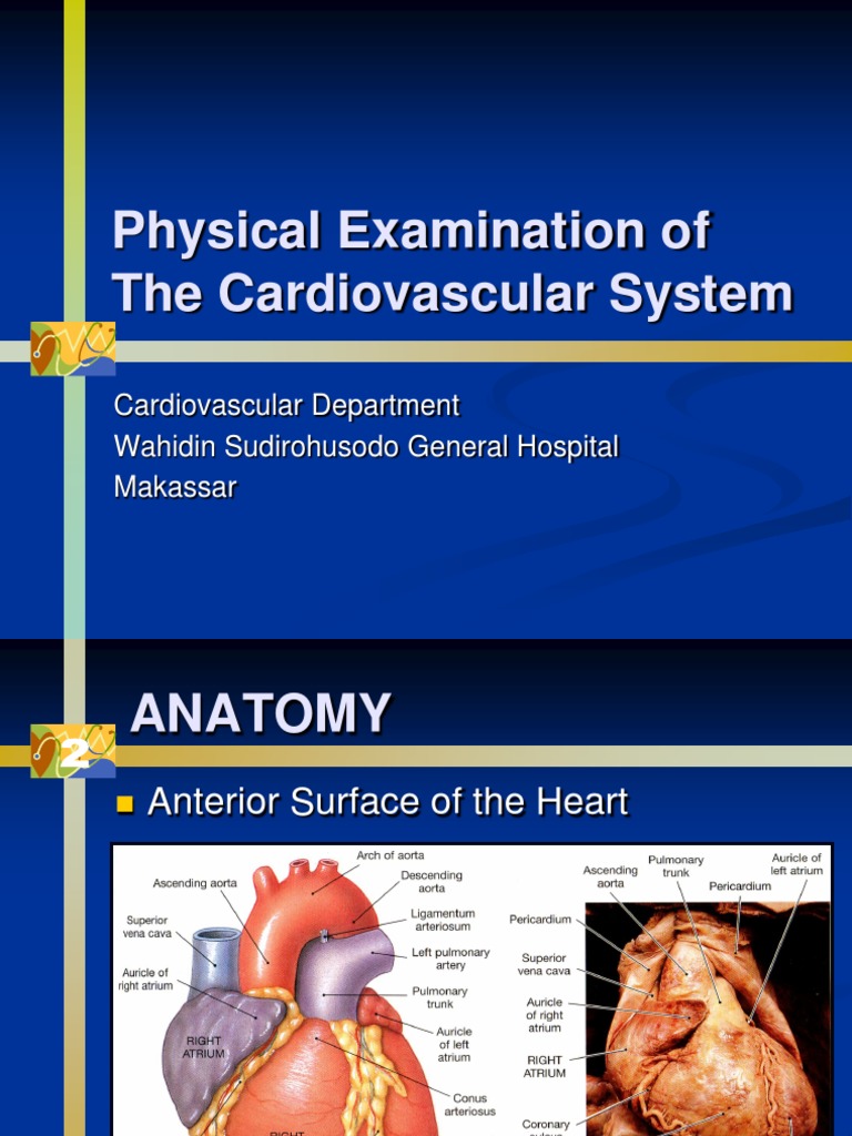 Physical Examination of CV | PDF | Pulse | Heart Valve