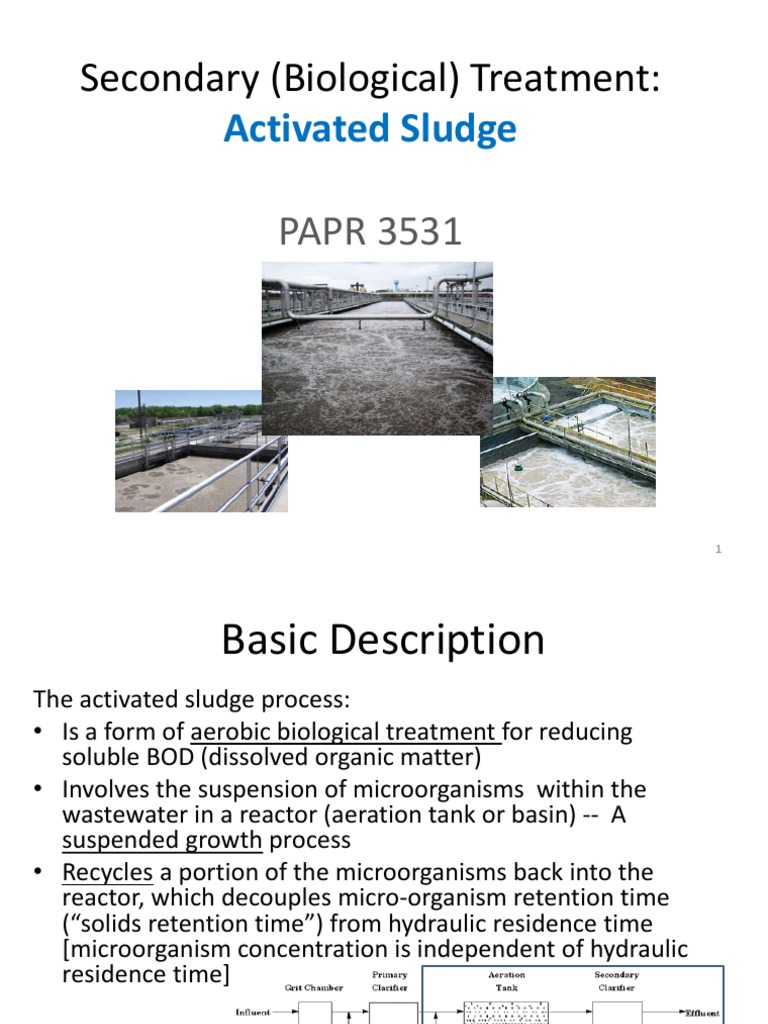 Activated Sludge | PDF