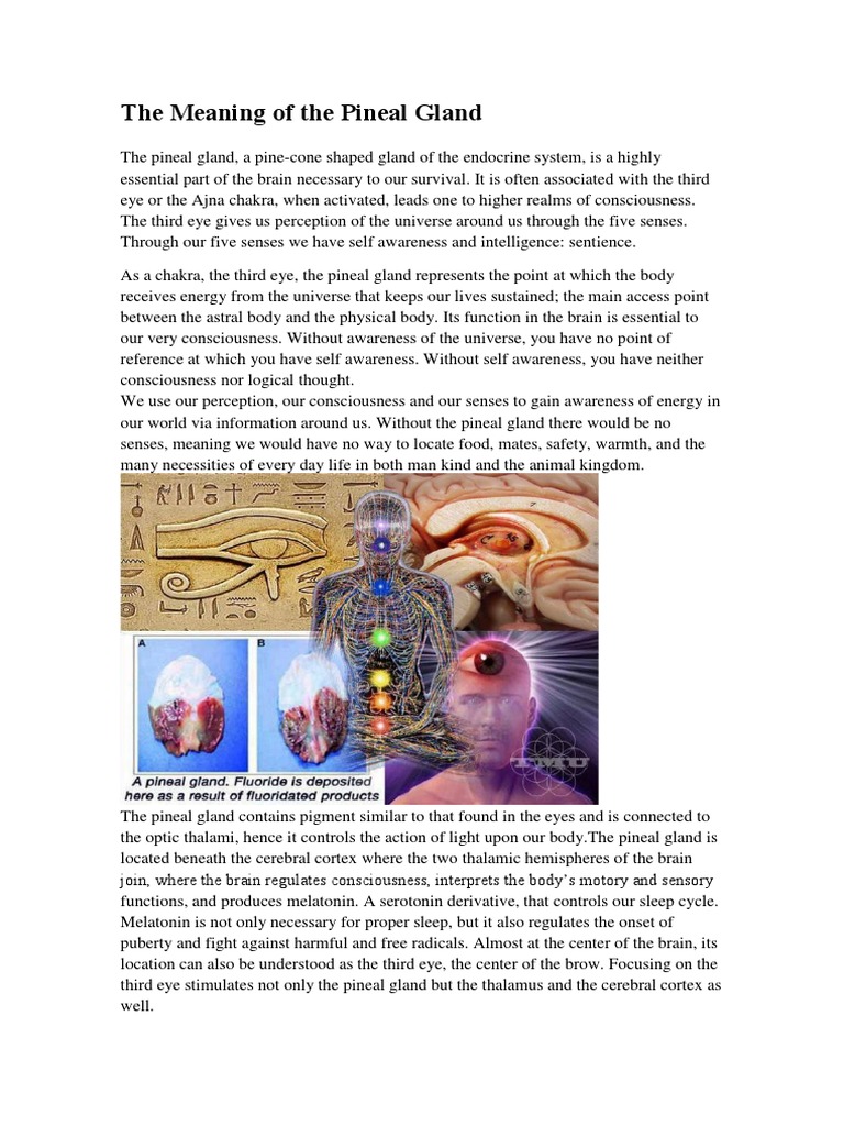 The Meaning of The Pineal Gland | PDF | Consciousness | Egyptian Mythology