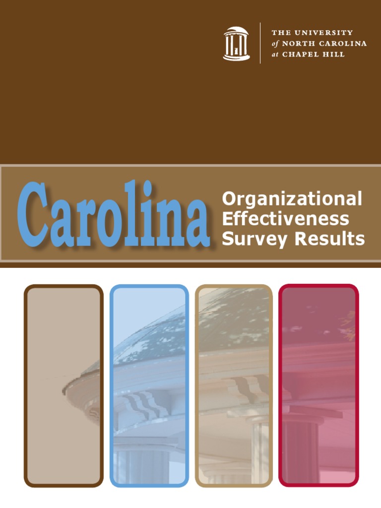 2010 Effectiveness Survey | PDF | Leadership | Strategic Management
