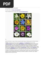 Pertemuan - 10 Rumus Dan Diagram Bunga | PDF | Petal | Flowers